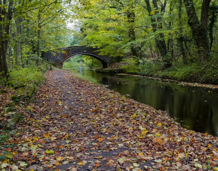 Hull Trains: Save 60% when booking in advance